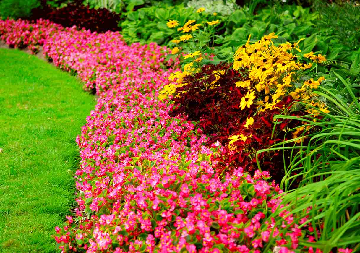 Softscaping 101 by Best Pick Reports | Best Pick Reports