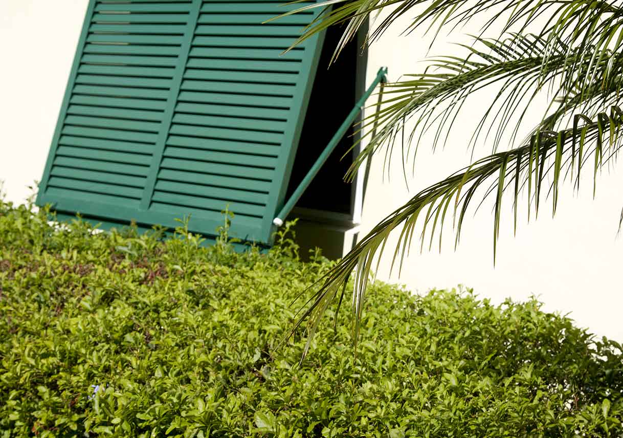 Storm-Proof Your Home: Hurricane Shutters & Impact Glass | Best Pick ...