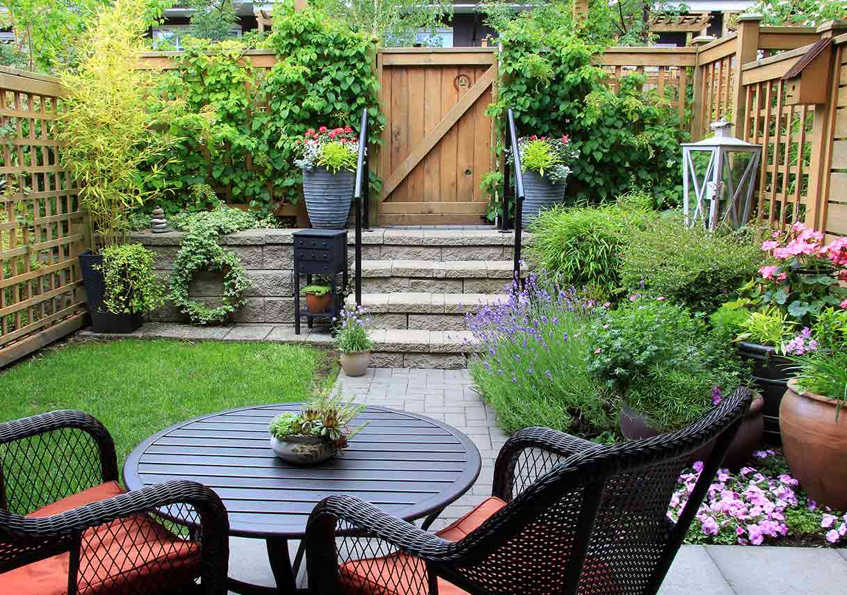 No Privacy Fence? 5 Ways to Create a Private Patio | Best Pick Reports