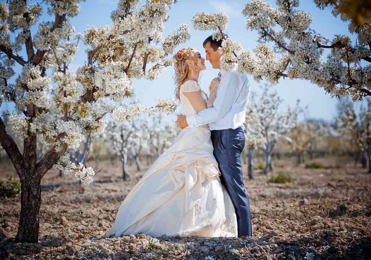 10 Tips for Planning a “Green” Wedding | Best Pick Reports