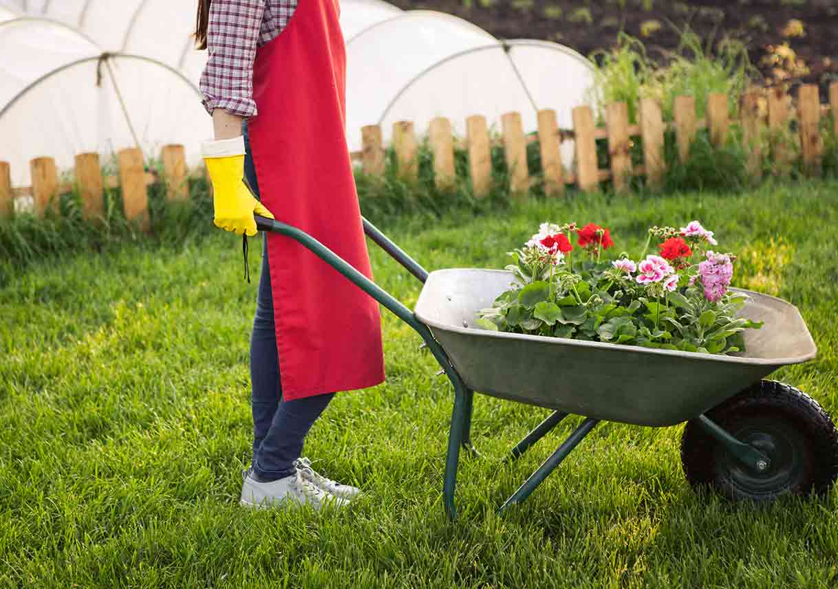 How to Give Your Lawn a Face Lift | Best Pick Reports