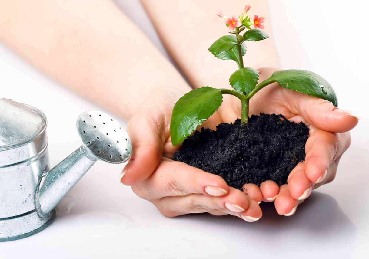 Spring Maintenance Tips Part Two: Outside Your Home | Best Pick Reports