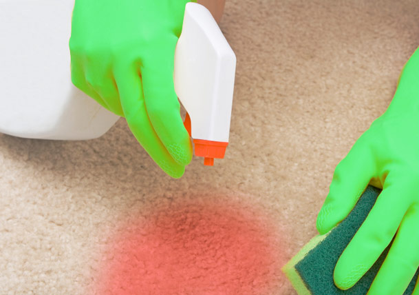 Types of Household Stains and How They Affect Your Carpet | Best Pick ...