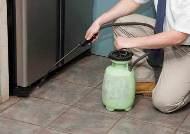 Indoor Pest Control Service Plans | Best Pick Reports