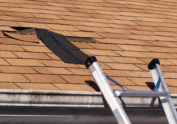 Investigate That Drip! A Homeowner’s Guide to Finding Roof Leaks | Best ...