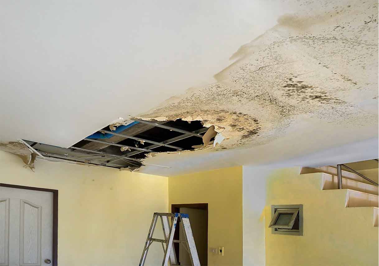 From Flood to Fungus: A Guided Tour of the Water Damage Remediation ...