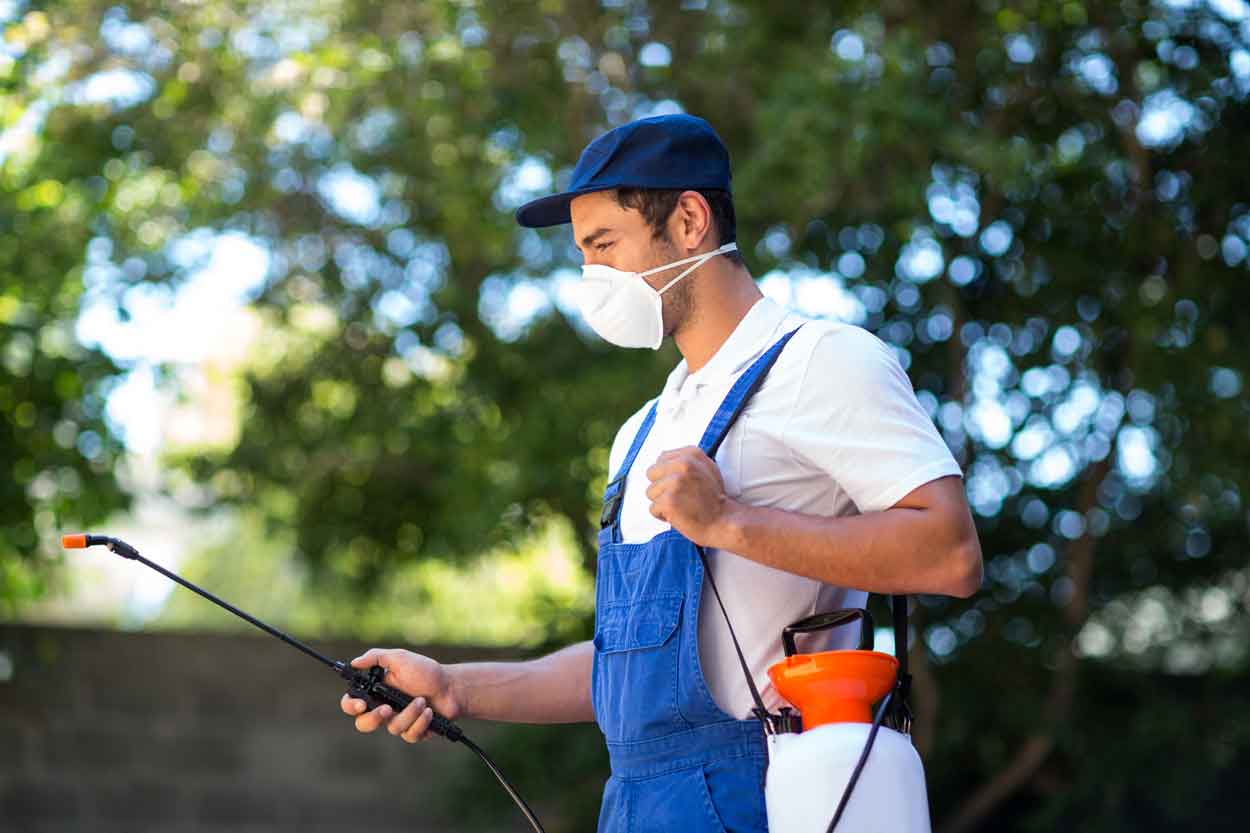 5 Tips for Summer Pest Control | Best Pick Reports