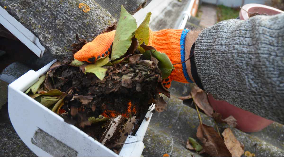 How To Clean Gutters | Best Pick Reports